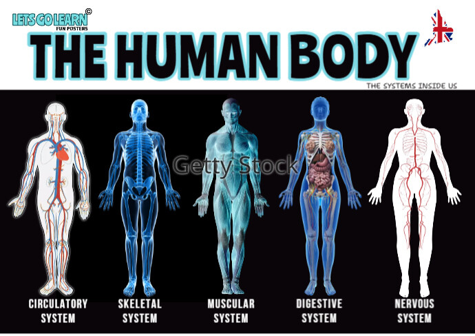 SEN EDUCATIONAL RESOURCES (2) | PosterMyWall