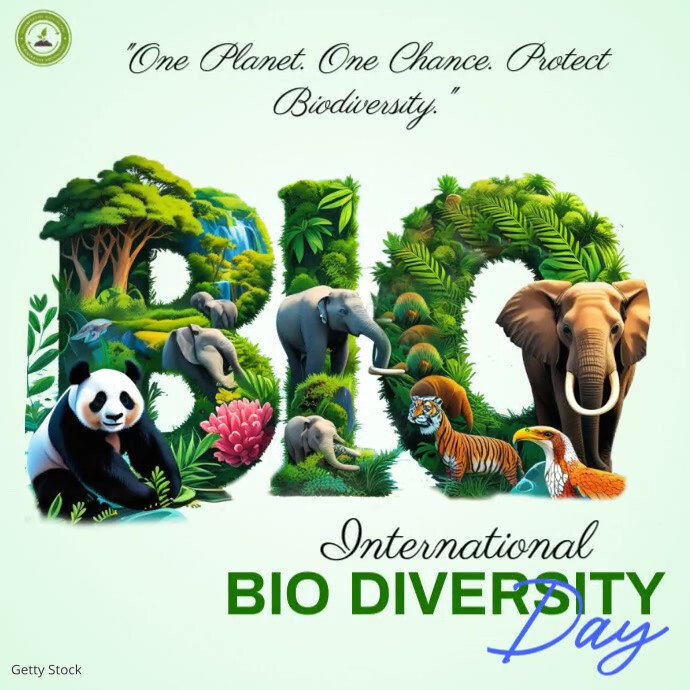 3d Biodiversity Day 2025 Instagram Post เทมเพลต | PosterMyWall