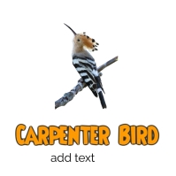 3D Bird Art Logo Template | PosterMyWall