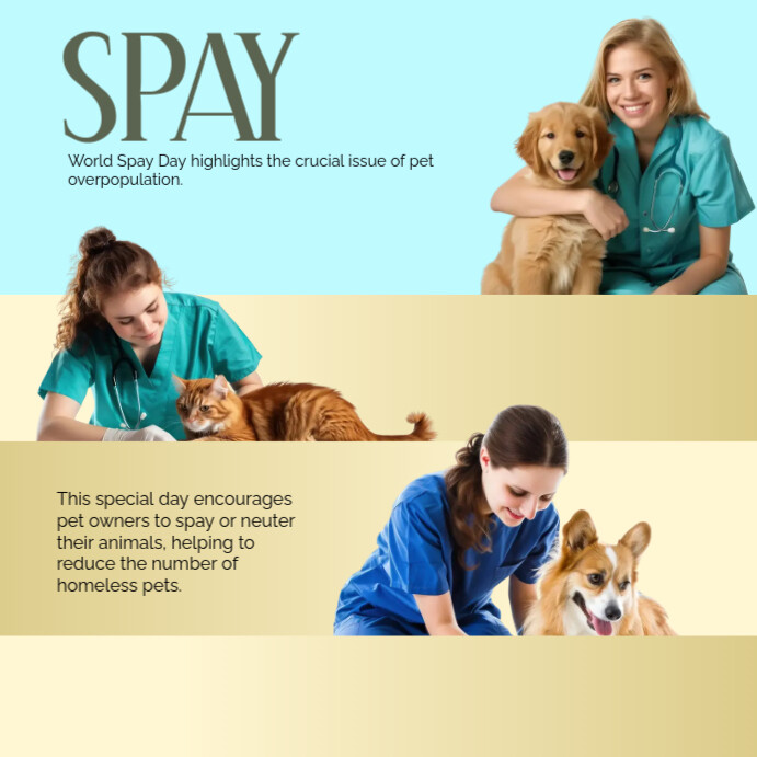 Copy of 3d Spay Day Instagram Post | PosterMyWall