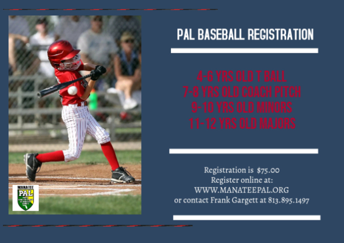 Baseball poster | PosterMyWall