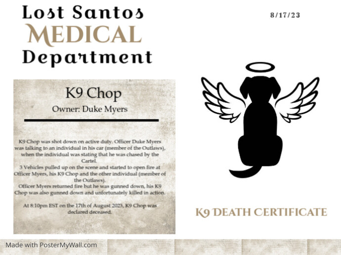 LSMD Pet Checkups | PosterMyWall