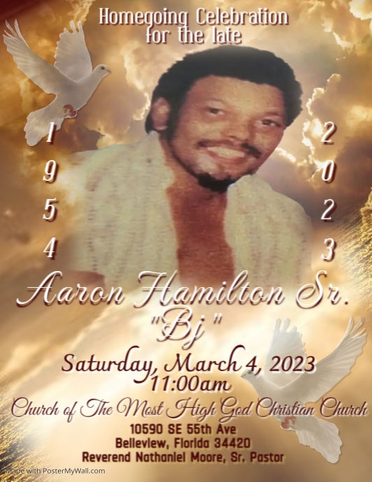 Copy of Aaron Hamilton official Program Cover | PosterMyWall