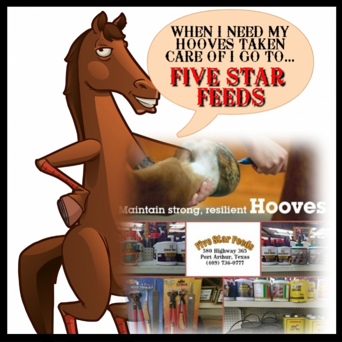 Copy of Copy of funny | PosterMyWall