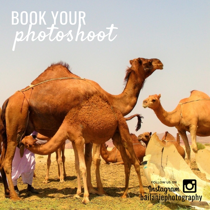 42 Bailanie Photography Template | PosterMyWall