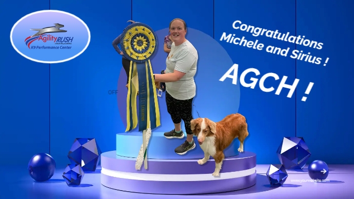 Copy of Michele AGCH | PosterMyWall