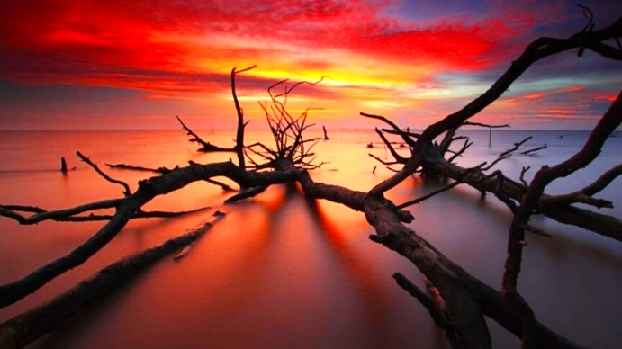 408 Template | PosterMyWall