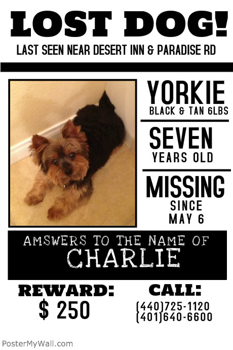 Charlie: Lost Dog Poster | PosterMyWall