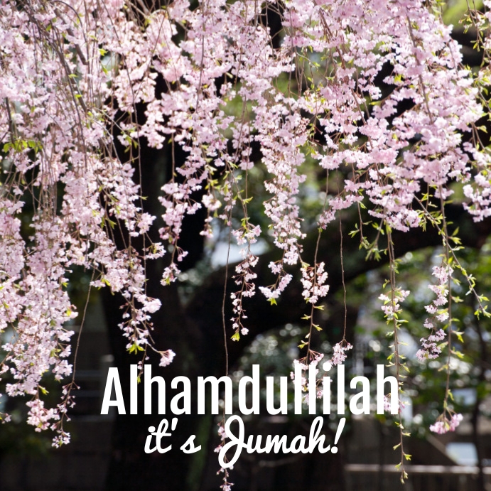 Copy of 41 Alhamdulillah | PosterMyWall