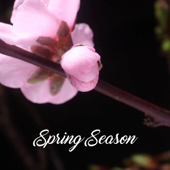 42 Spring Template | PosterMyWall