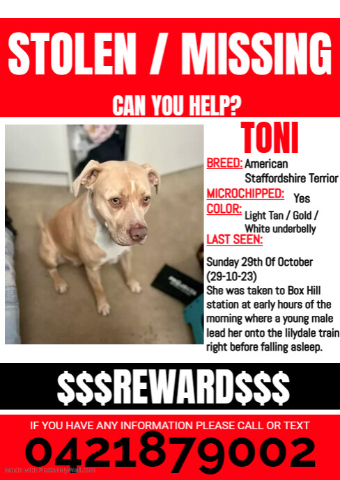 Missing Pet Flyer 1 | PosterMyWall
