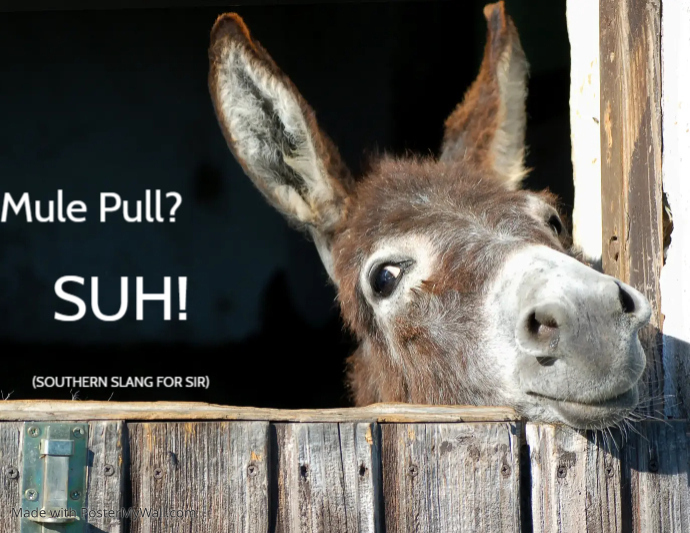 FUNNY | PosterMyWall