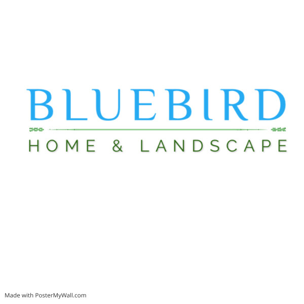 Bluebird Logo 1.0 | PosterMyWall