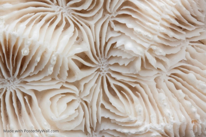 4567 Template | PosterMyWall