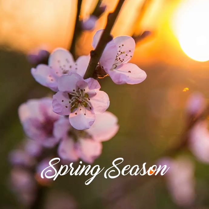 46 Spring Template | PosterMyWall