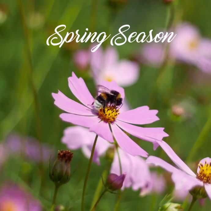 47 Spring Template | PosterMyWall