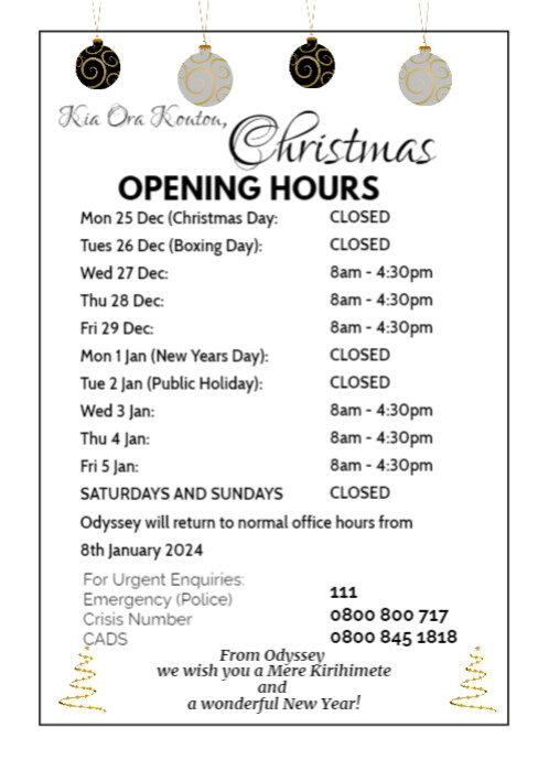 Christmas Opening Hours Times Poster Business | PosterMyWall
