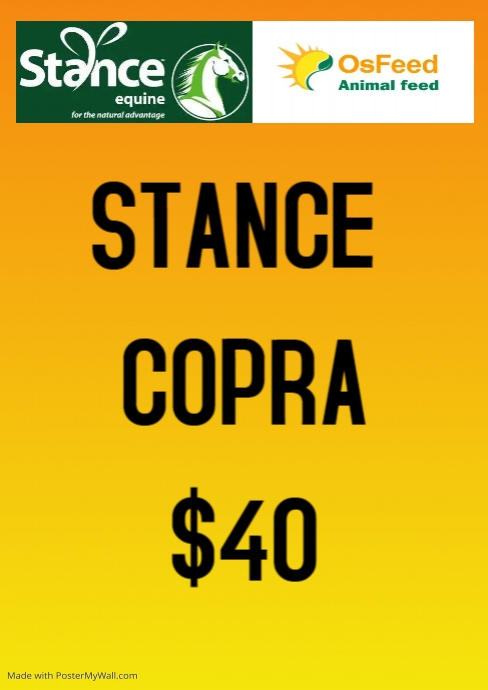 Shop price | PosterMyWall