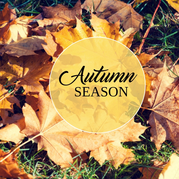 48 Autumn and Fall Template | PosterMyWall