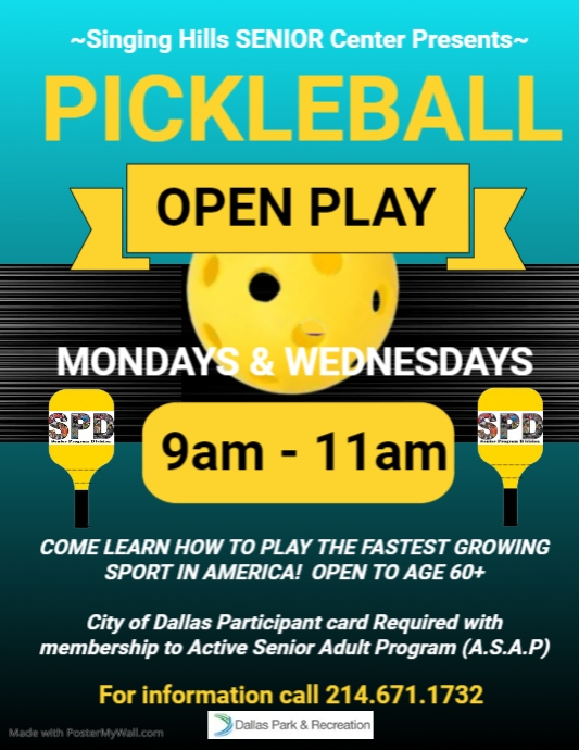 Pickle ball | PosterMyWall