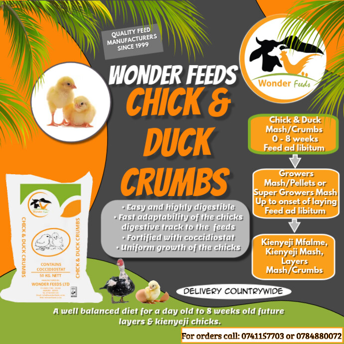 Copy of Chick & Duck Crumbs Ad | PosterMyWall