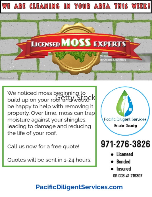 Copy of Cleaning ,spring cleaning,spring | PosterMyWall