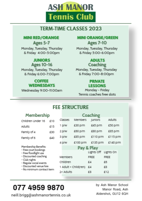 Ash Flyer Back A4 | PosterMyWall