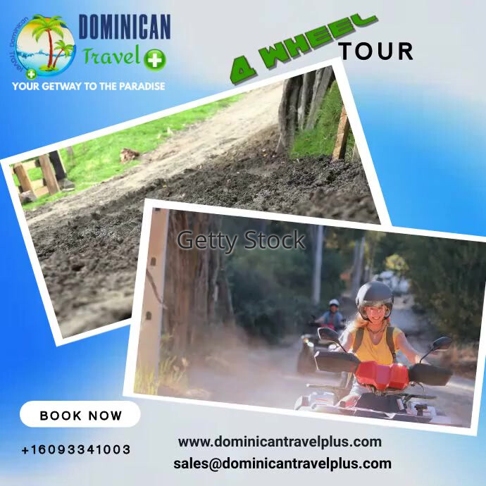 FOUR WHELL DT+ | PosterMyWall