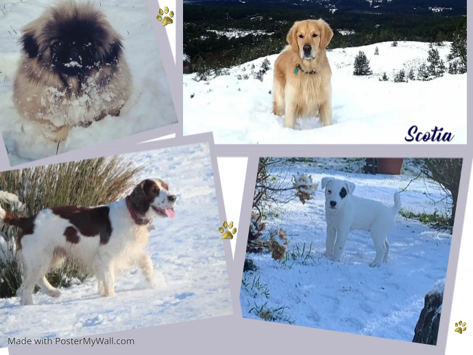 Feb collage | PosterMyWall