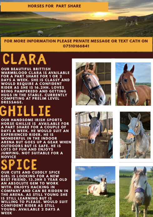 Copy of Horse ridign lessons flyer template | PosterMyWall