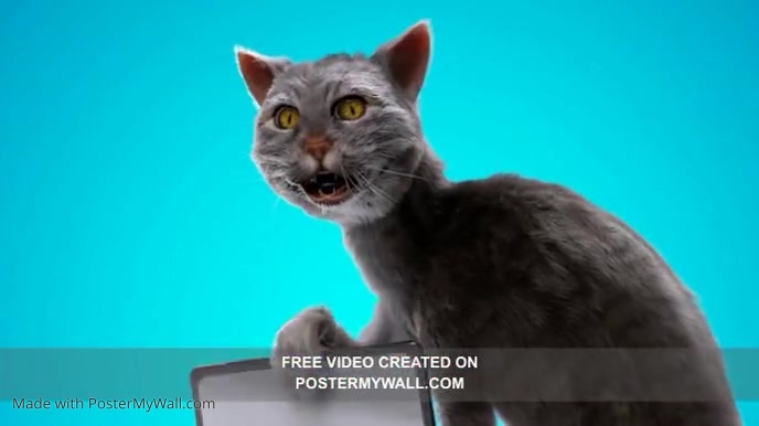 FUNNY CAT | PosterMyWall