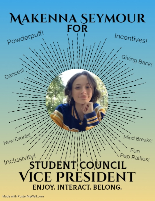 VP Campaign | PosterMyWall