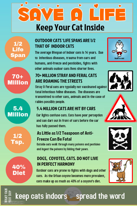 Save a Life Keep Cats Inside | PosterMyWall