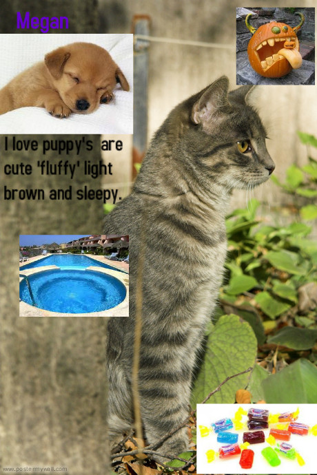 Megan | PosterMyWall