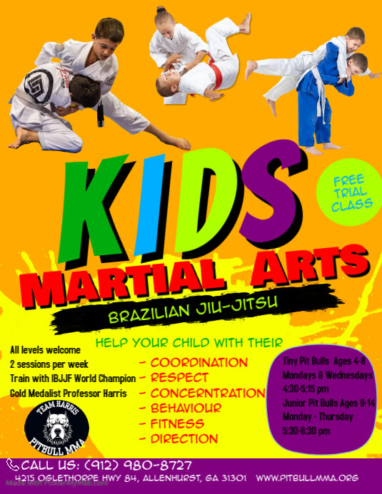 Kids Martial Arts Flyer | PosterMyWall