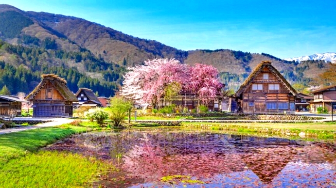 508 Template | PosterMyWall