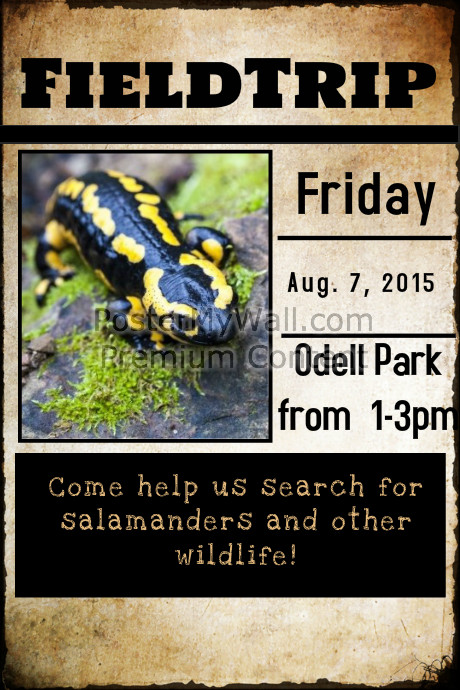 Copy of Friday Field trip | PosterMyWall