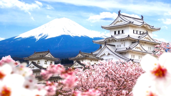 528 Template | PosterMyWall