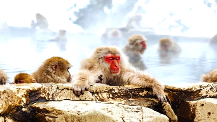 533 Template | PosterMyWall