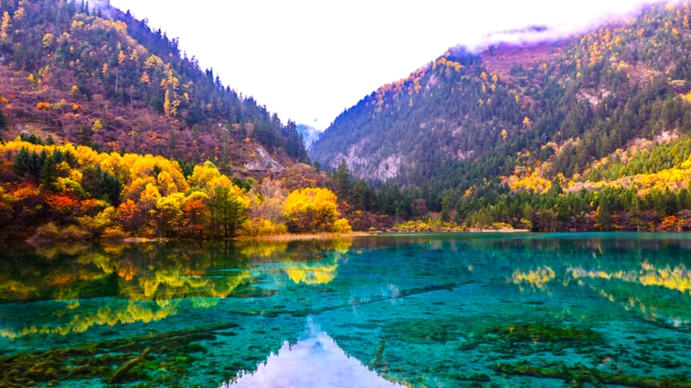 537 Template | PosterMyWall