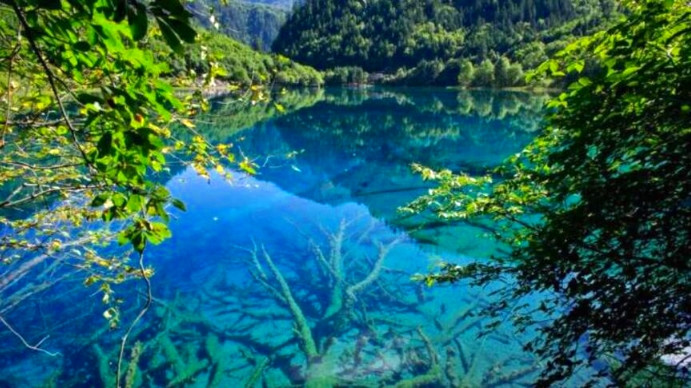 550 Template | PosterMyWall