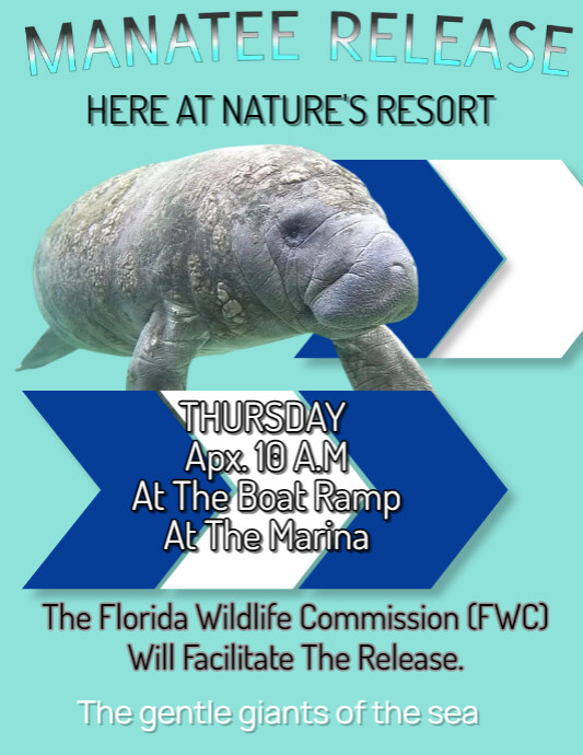 Copy of Manatee Appreciation Day | PosterMyWall