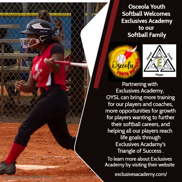 Copy of baseball academy poster template | PosterMyWall