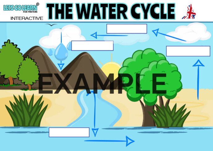 INTERACTIVE WATER CYCLE | PosterMyWall