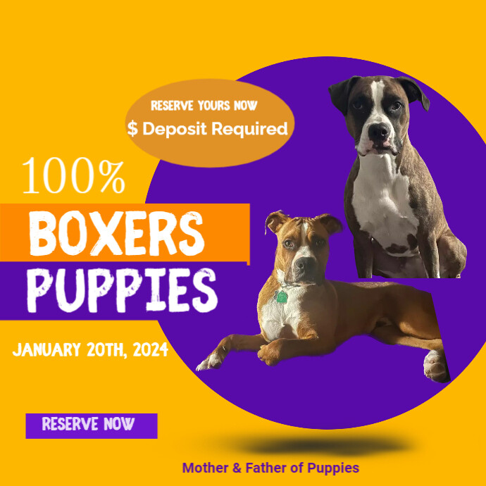 Paw Shop Social Media | PosterMyWall