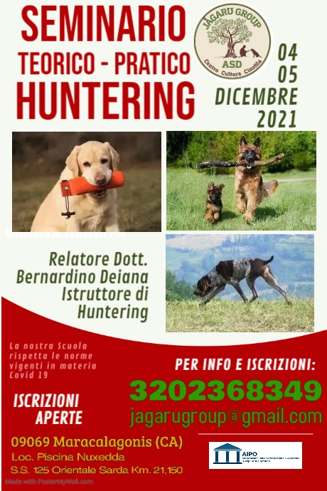 Copy of Copia di Dog Pet care wash service flyer template | PosterMyWall