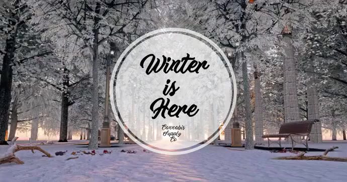 Winter | PosterMyWall