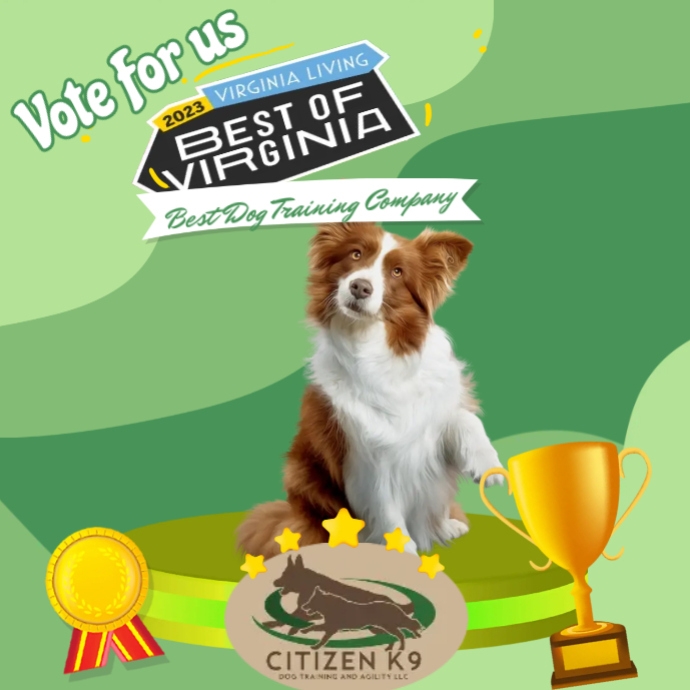 vote best of Va living (1) | PosterMyWall