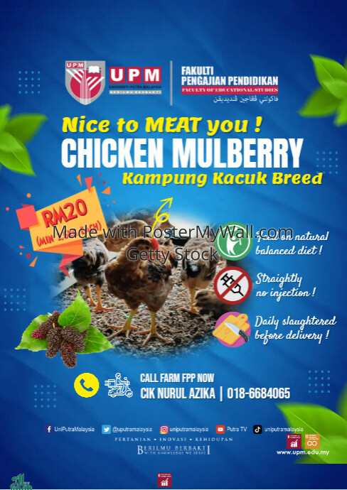 Chicken Mulberry Sale | PosterMyWall