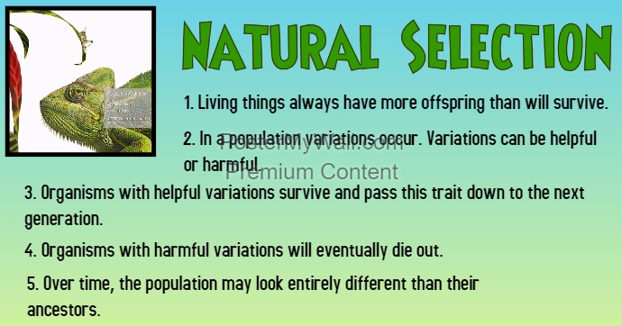 Natural Selection | PosterMyWall